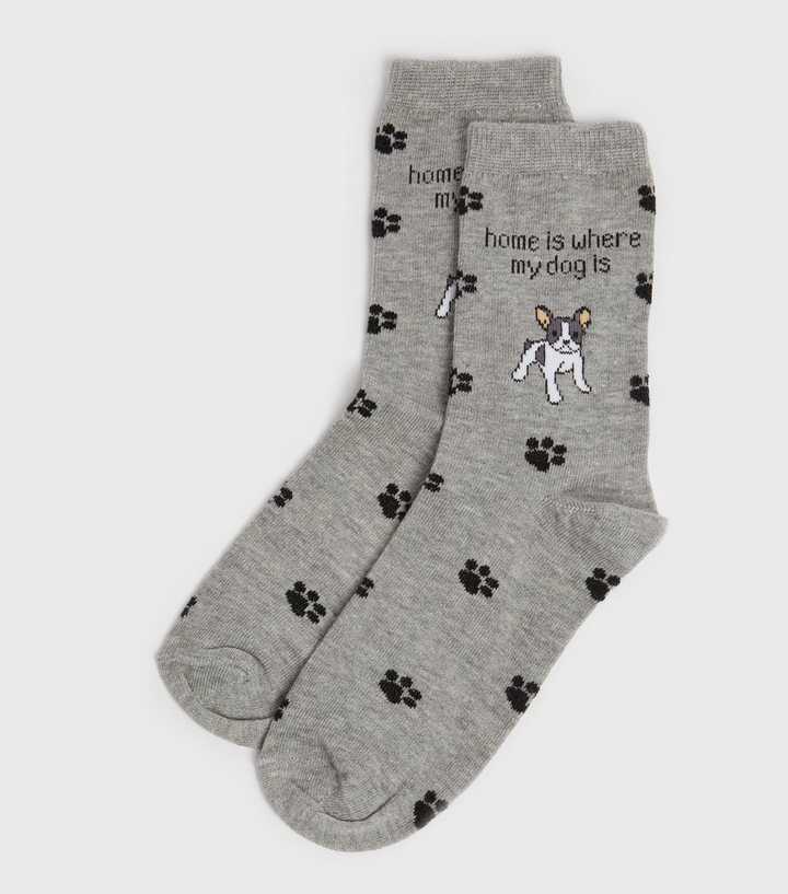 Dog Paw