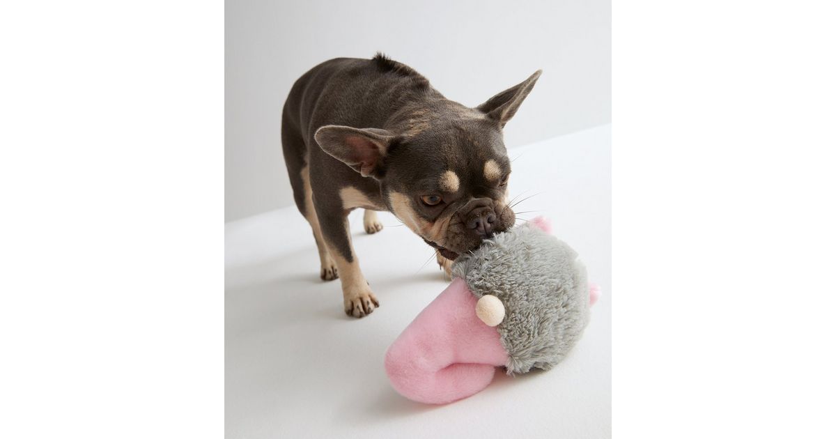 Grey Gnome Dog Toy | New Look