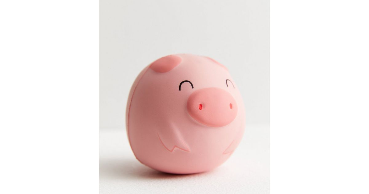 Pig Stress Ball | New Look