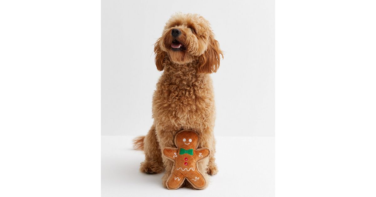 Bright Orange Gingerbread Man Dog Toy | New Look
