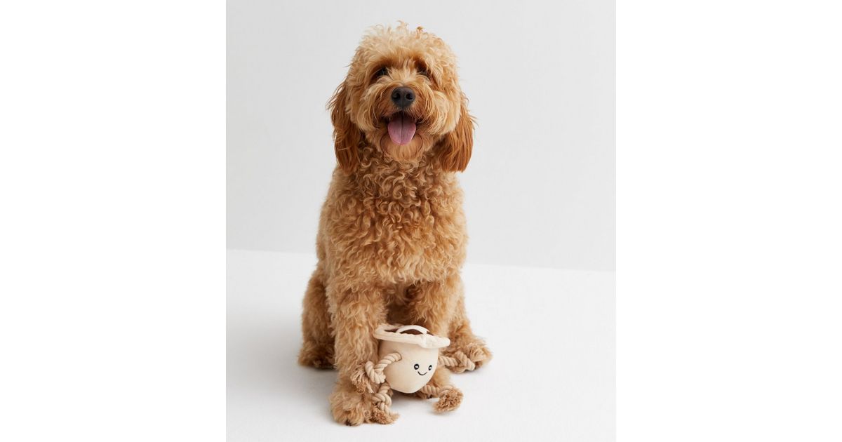 Brown Christmas Mince Pie Rope Dog Toy | New Look