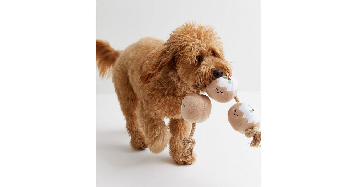 Brown Christmas Pudding Dog Rope Toy | New Look