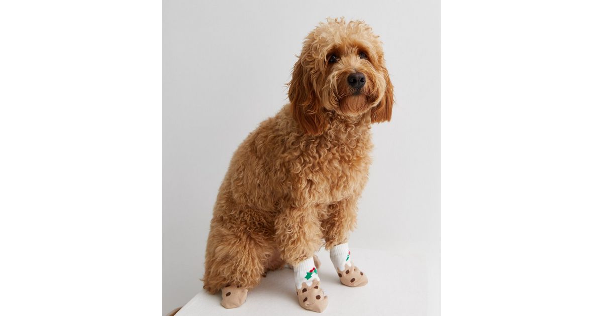 Brown Christmas Pudding Dog Socks | New Look