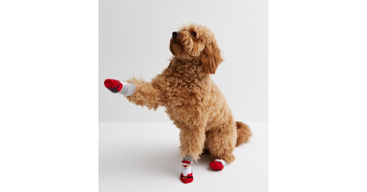 Pale Grey Santa Christmas Dog Socks | New Look
