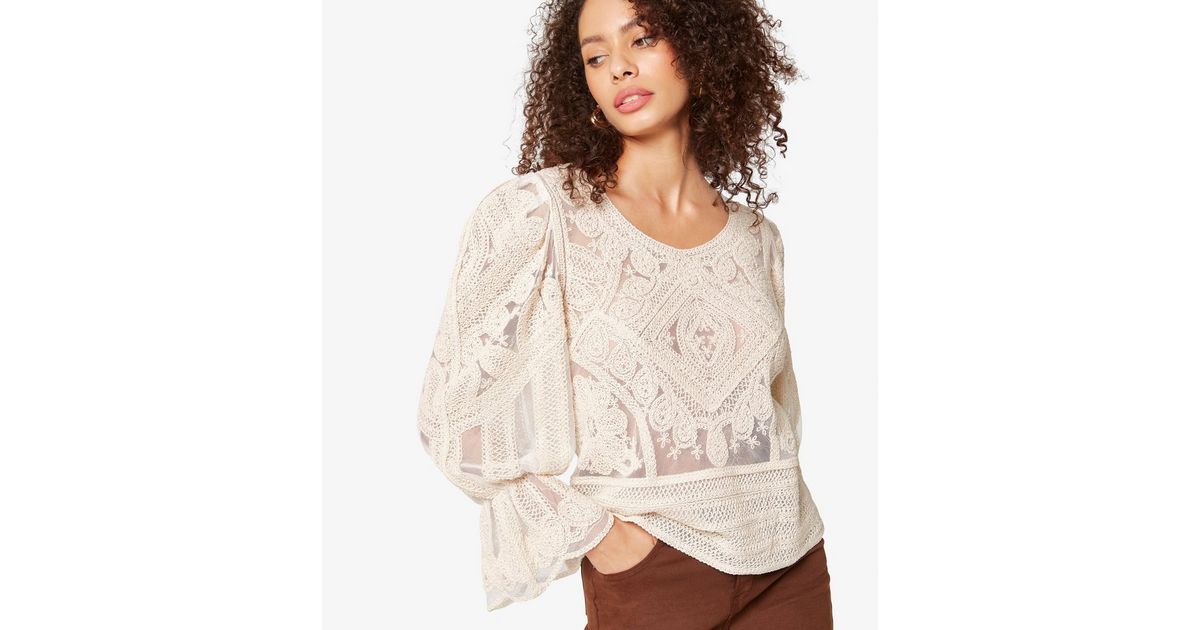Apricot Stone Embroidered Mesh Top | New Look
