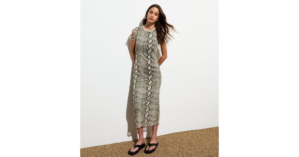 Off White Snake Print Mesh Midi Dress | New Look