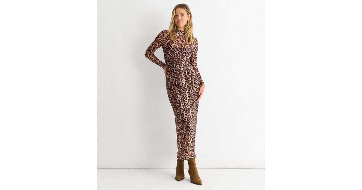 Gini London Light Brown Leopard Print Mesh Midi Dress | New Look